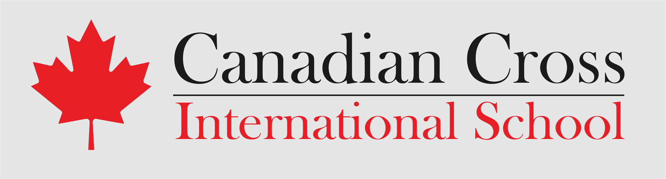 My Courses – Canadian Cross International School